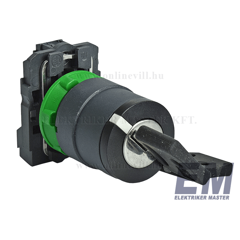 Schneider Kulcsos kapcsolófej XB5AG41